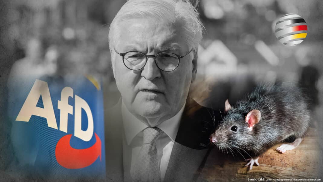 Walter, der Spalter: Steinmeier vergleicht AfD-Wähler mit Ratten ...
