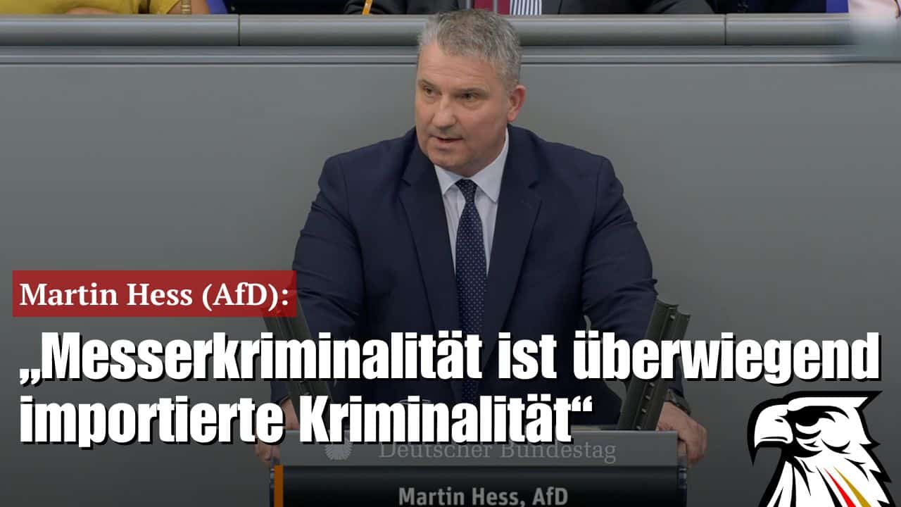 Martin Hess (AfD): „Messerkriminalität ist überwiegend importierte Kriminalität“ - Deutschland ...